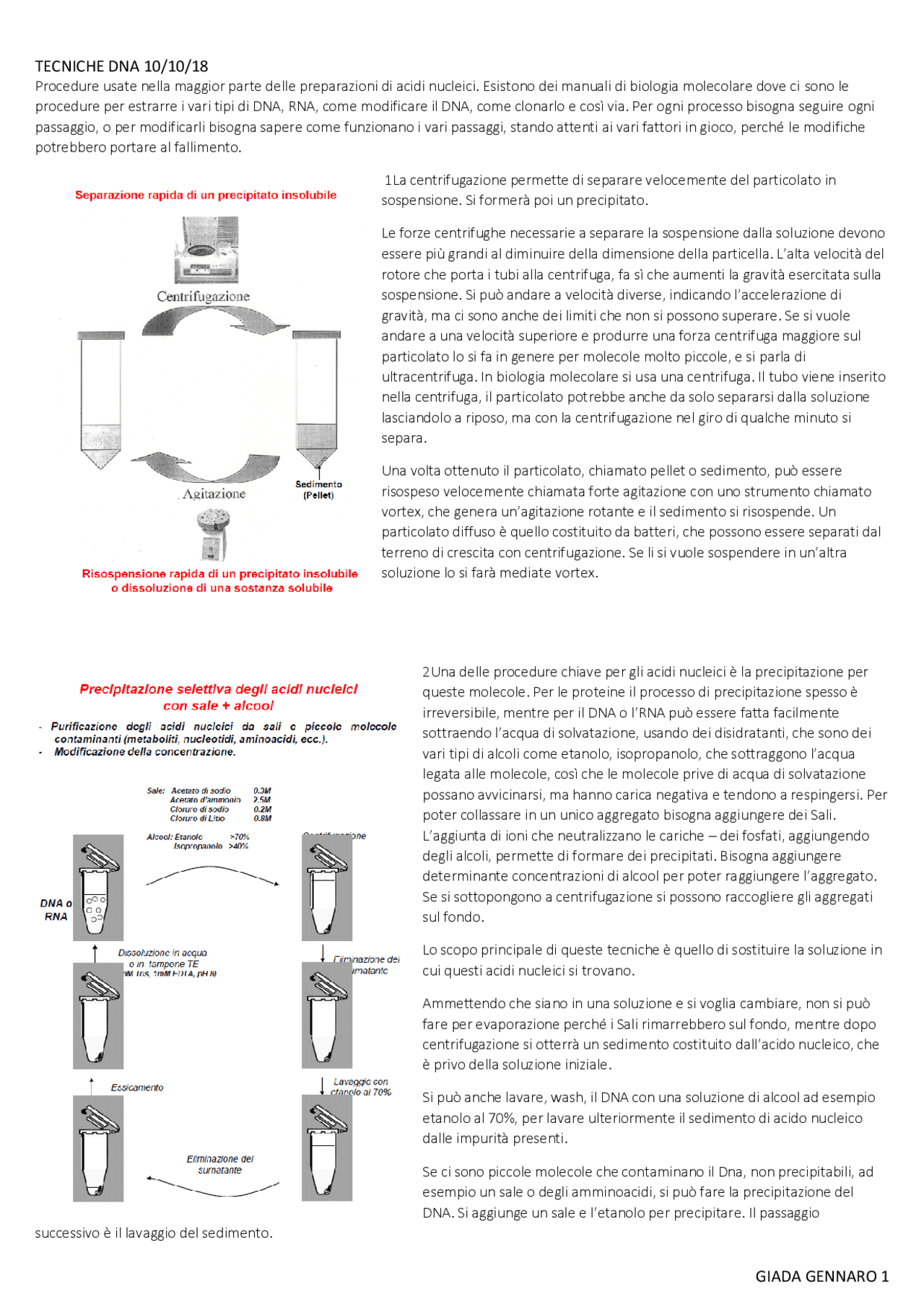 Tecnologie Del Dna Ricombinante Docsity