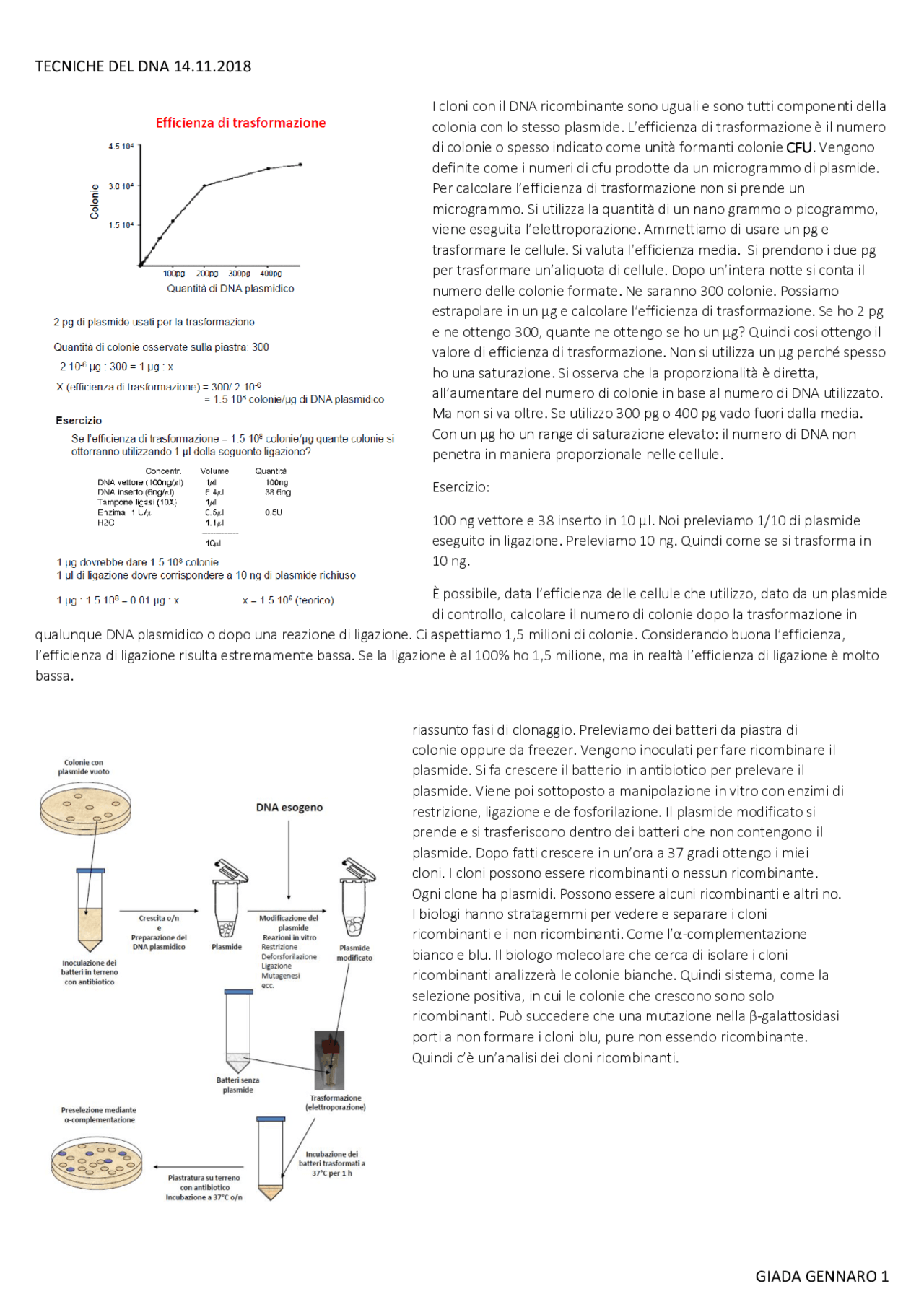 Tecnologie Del Dna Ricombinante Docsity