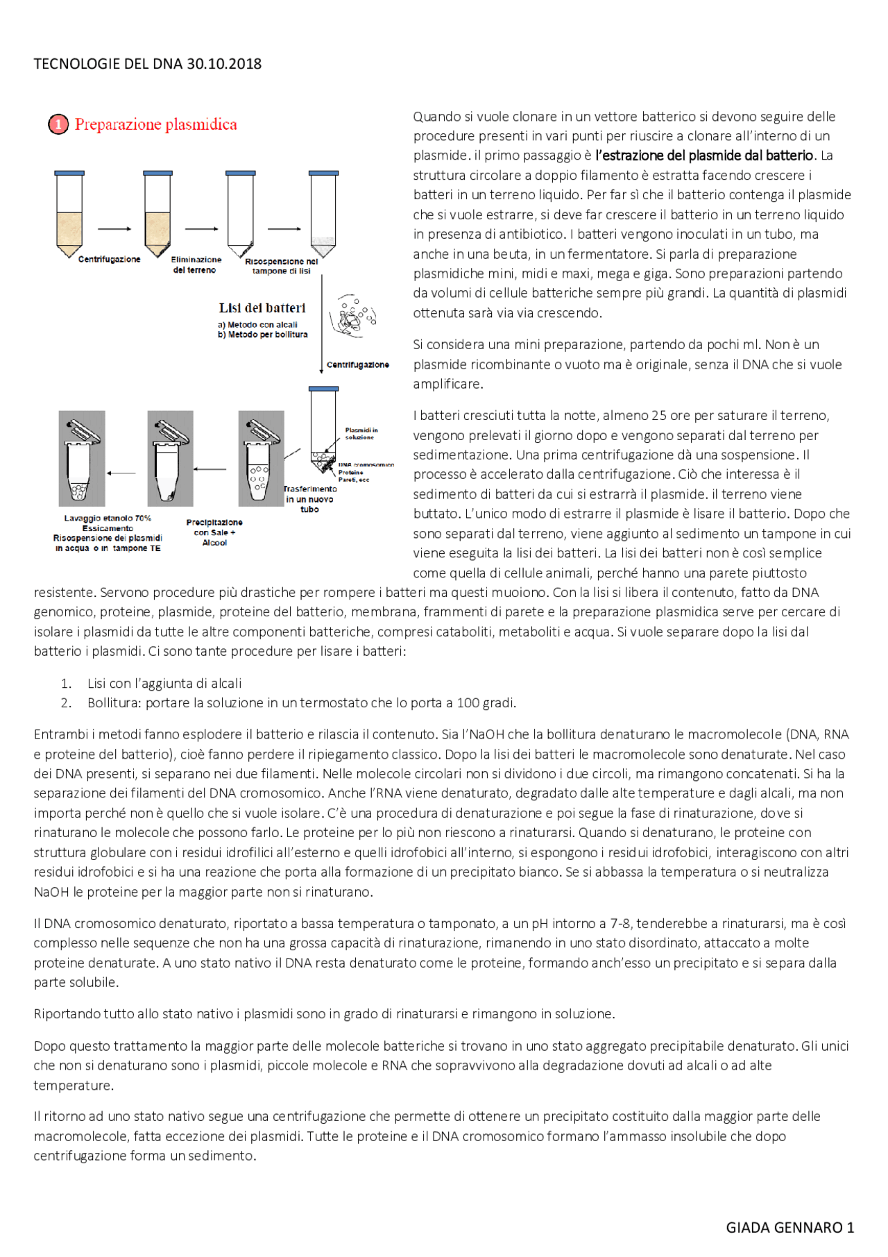 Tecnologie Del Dna Ricombinante Docsity