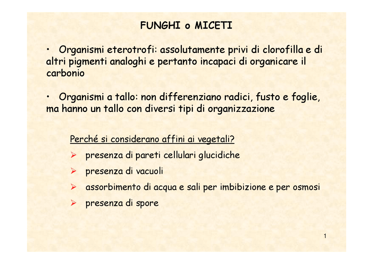 Botanica Generale Funghi O Miceti Docsity