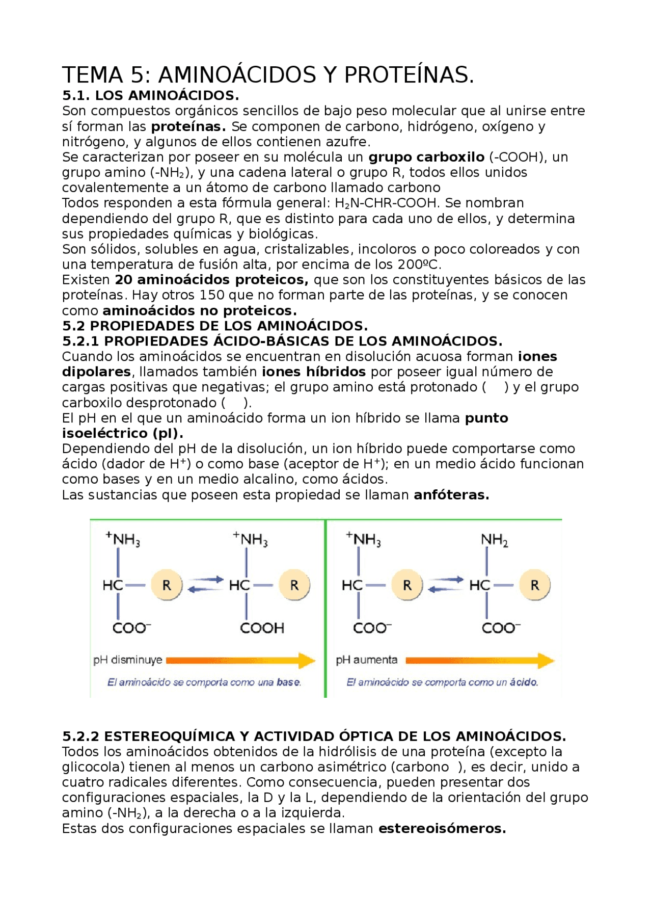 Tema De ProteÍnas 2 Bach Apuntes De Biología Docsity