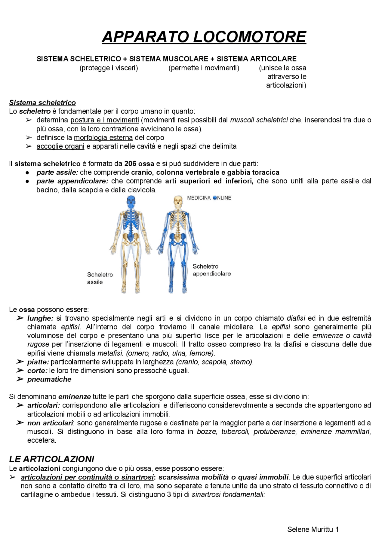 Schemi Di Anatomia I Apparato Locomotore Anastasi Docsity
