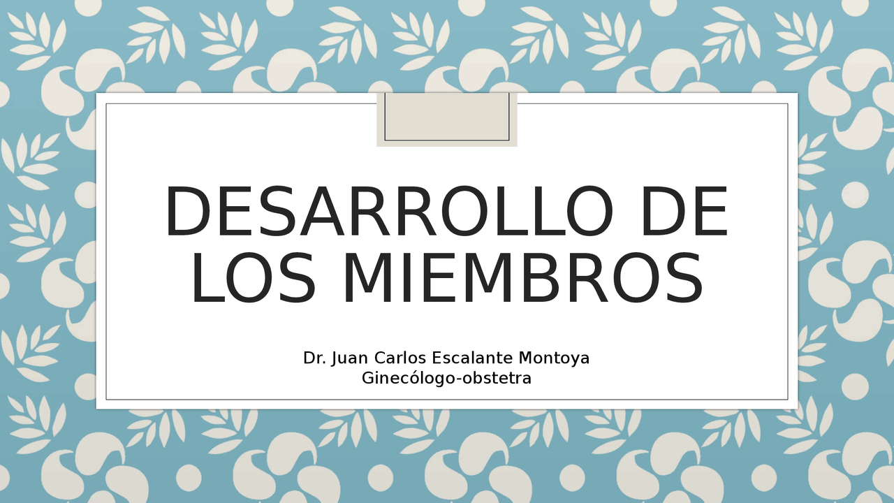 Desarrollo Miembros Embrio Diapositivas De Anatomía Docsity