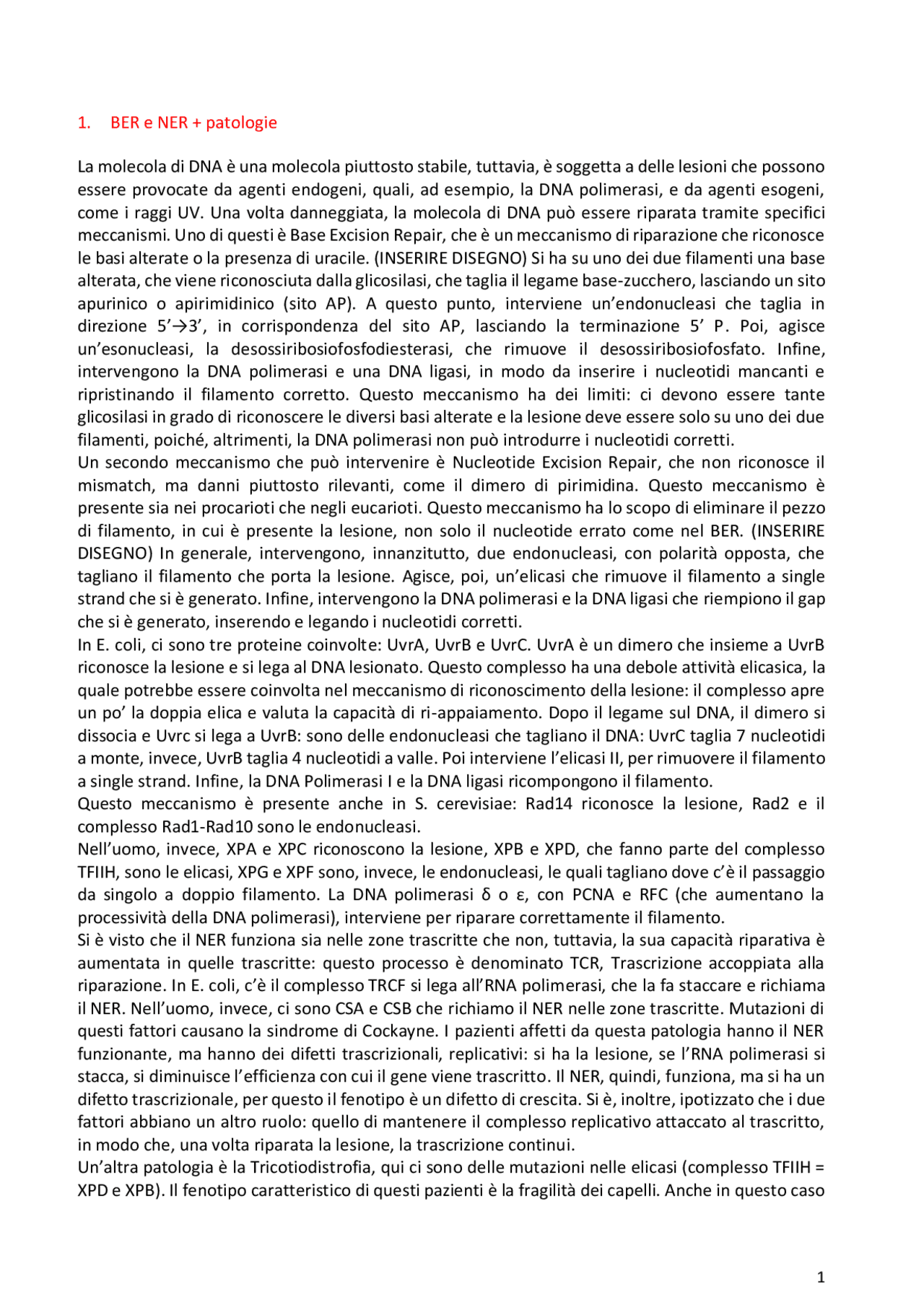 Riassunti Genetica Molecolare Docsity