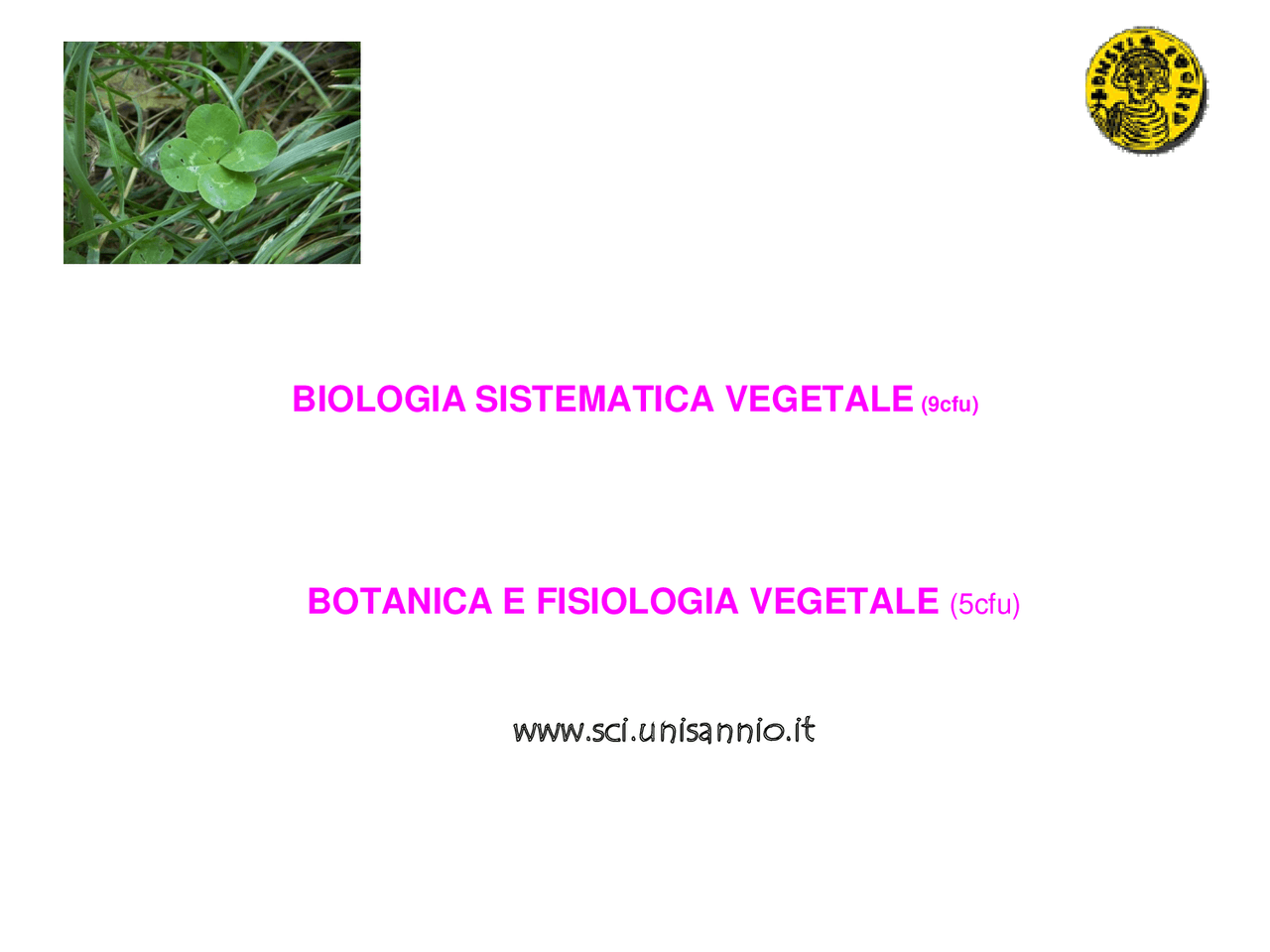 Sistematica Vegetale Docsity