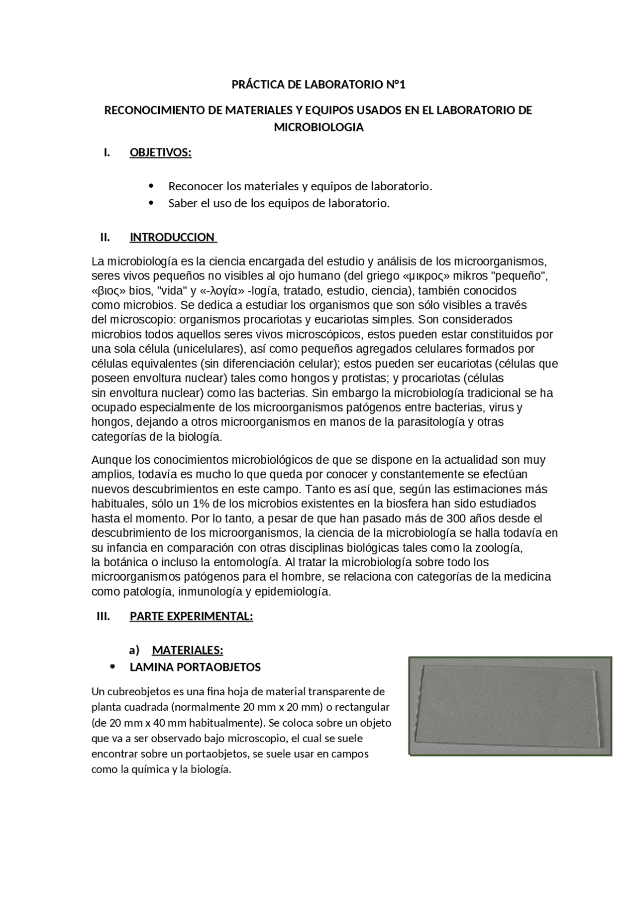 Ejemplo De Informe De Laboratorio De Biología