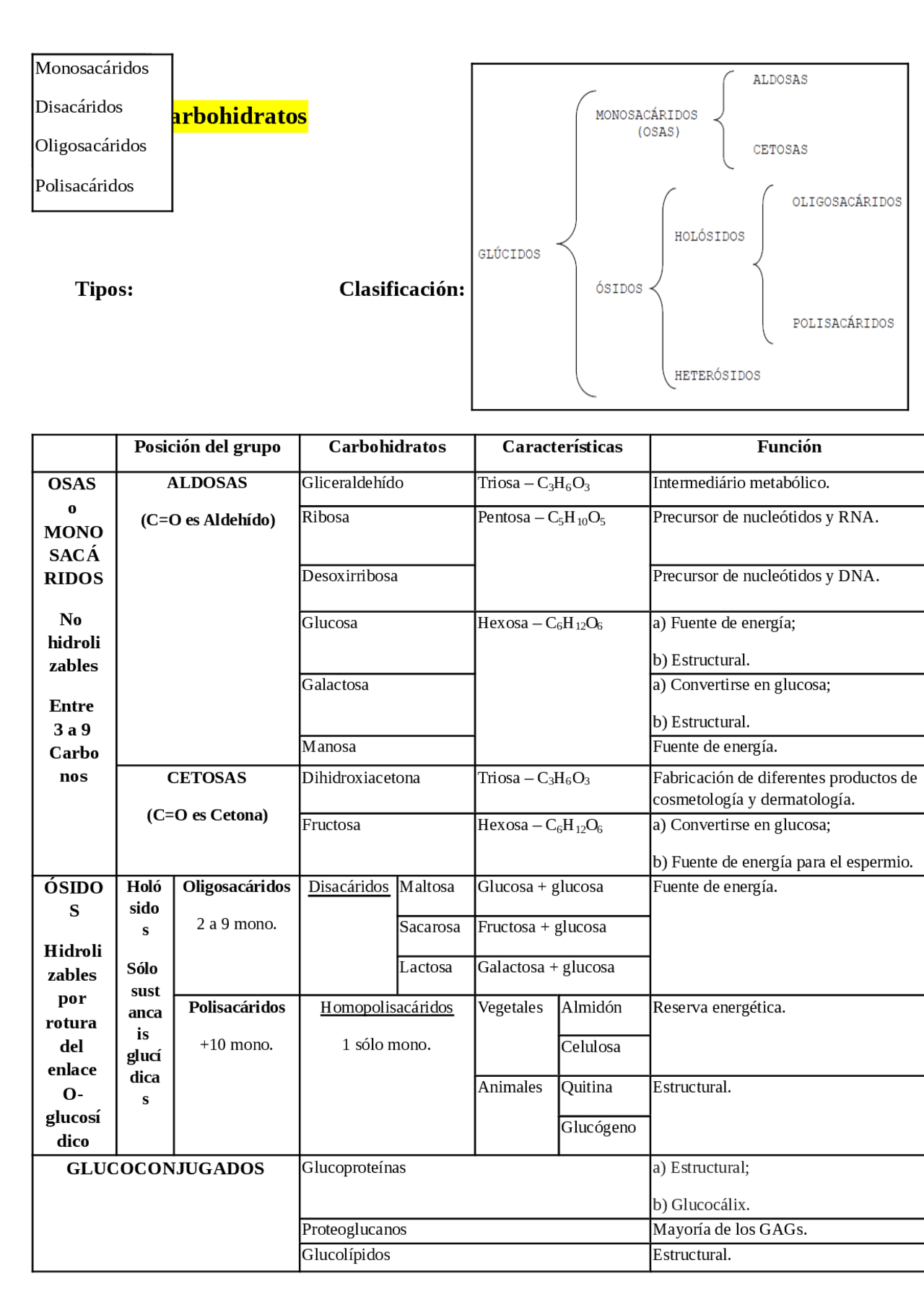 Bioquímica Carbohidratos Docsity