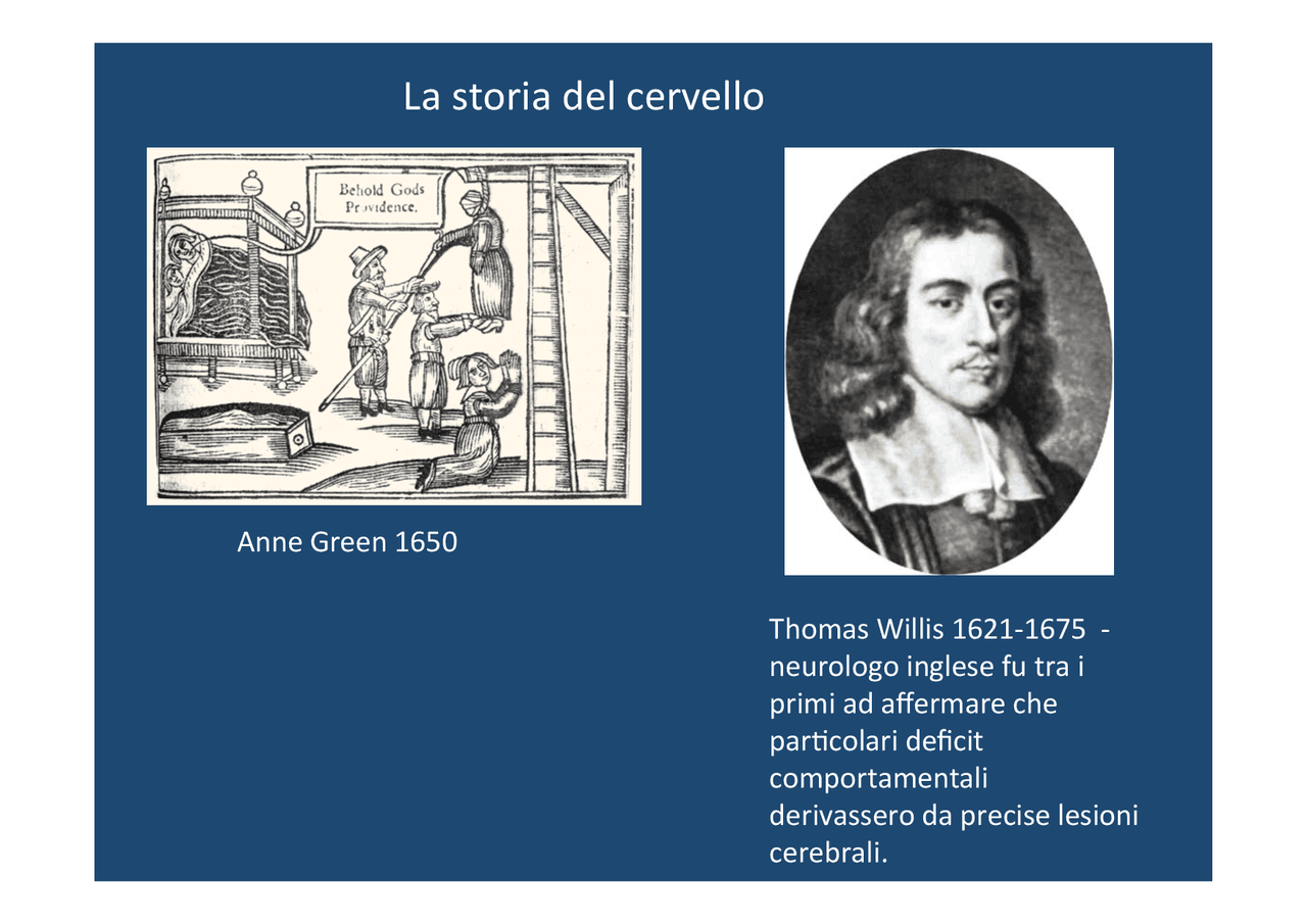 La Cellula Primo Capitolo Slide Di Neuroanatomia Docsity
