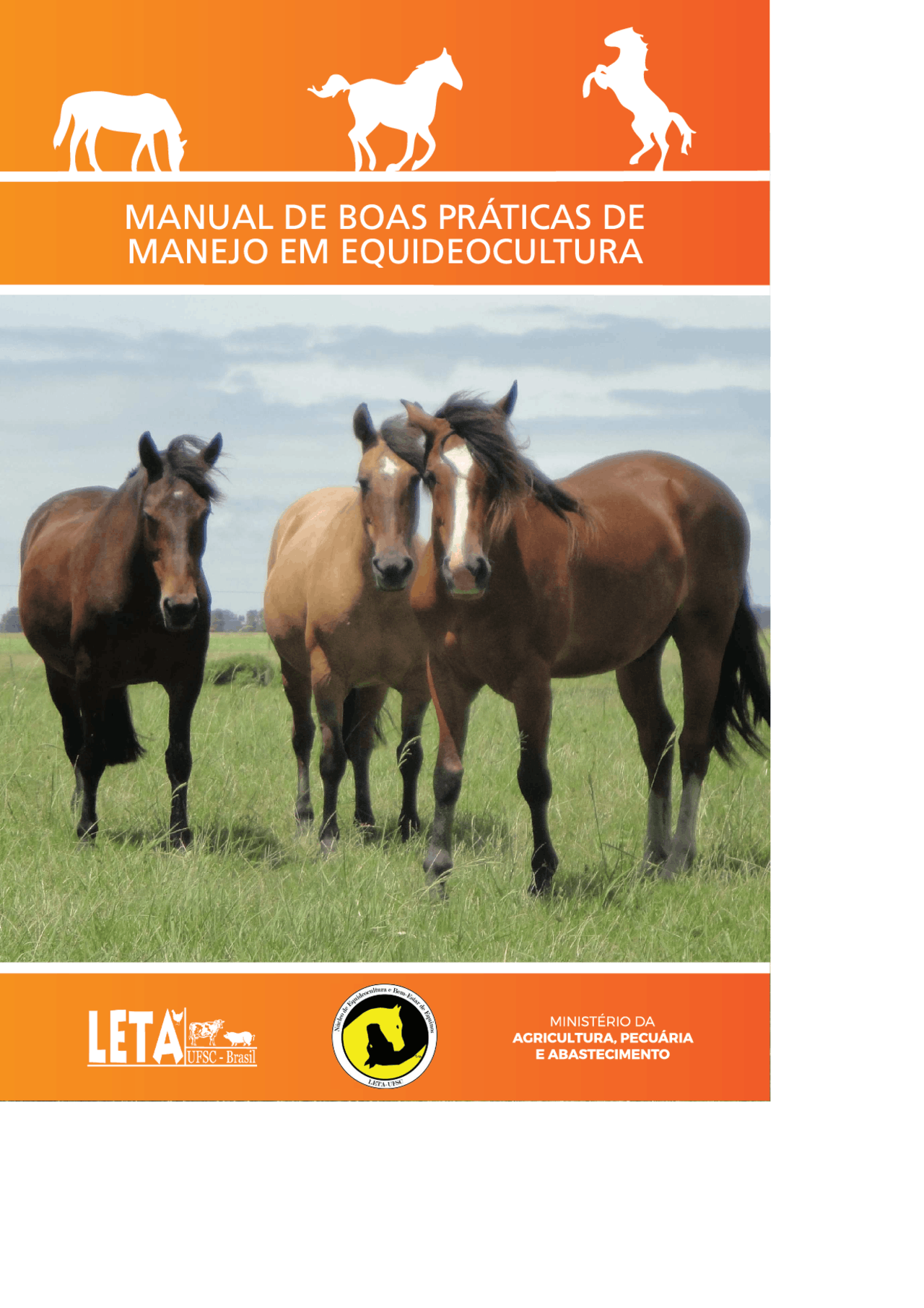 Manual De Boas Praticas Docsity