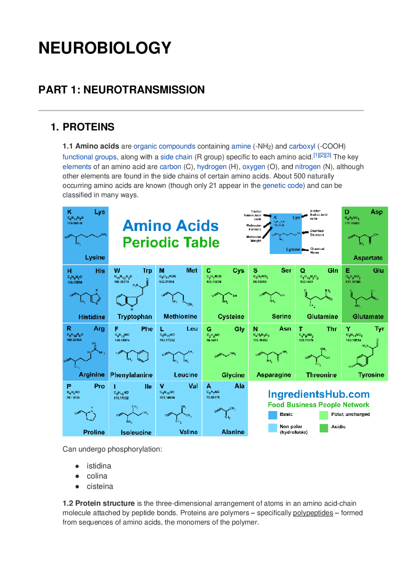Neurobiology Cognitive Neuroscience 1st Part Docsity