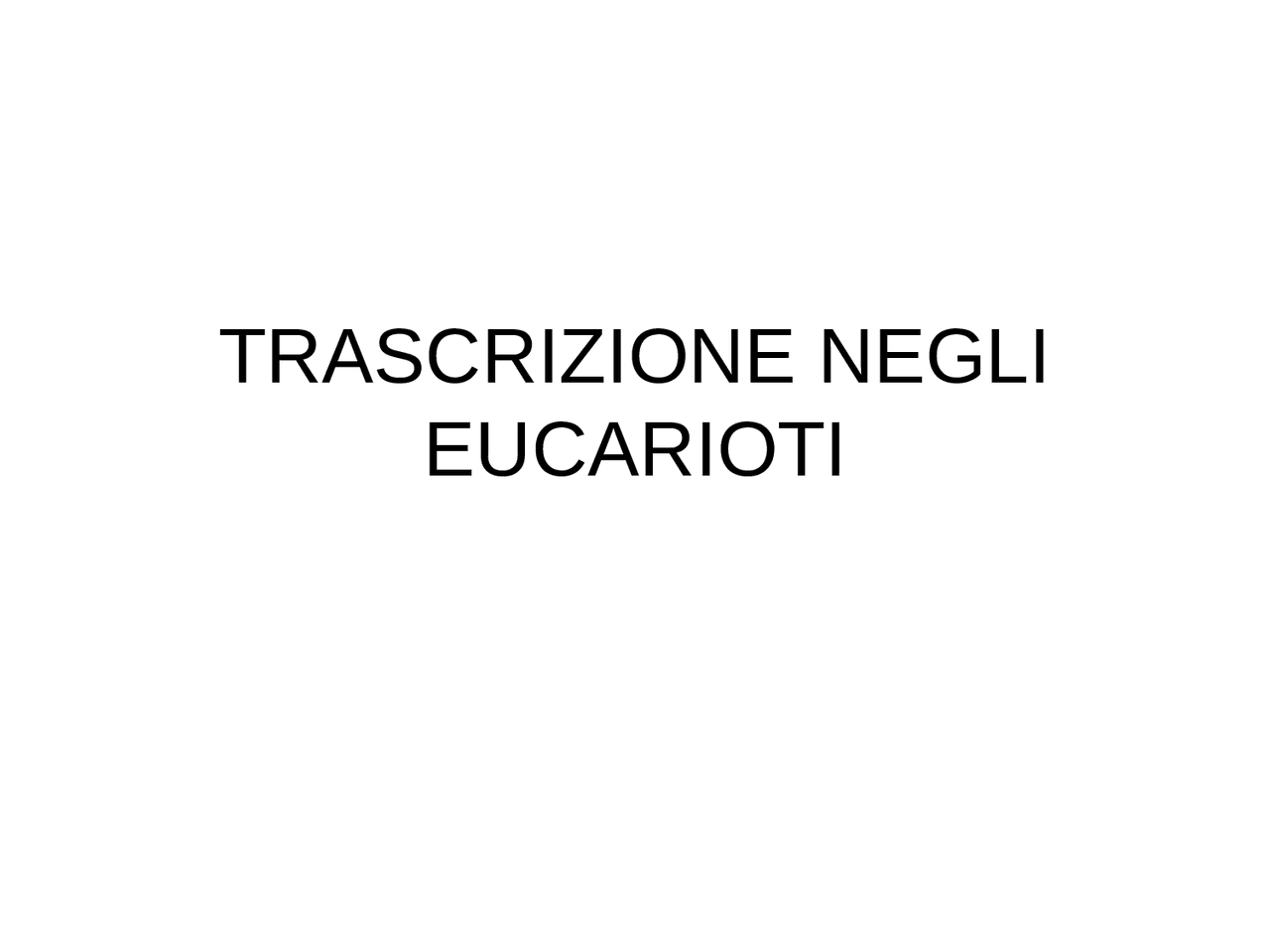 Trascrizione Eucarioti Docsity