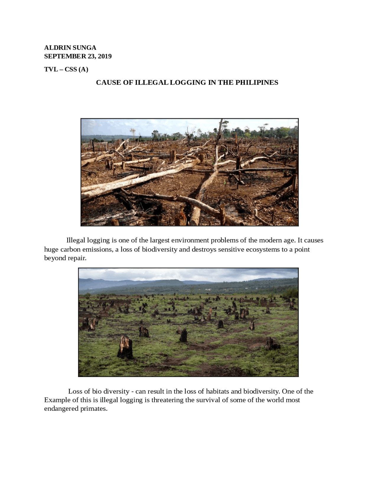 Cause Of Illegal Logging In The Philippines Docsity