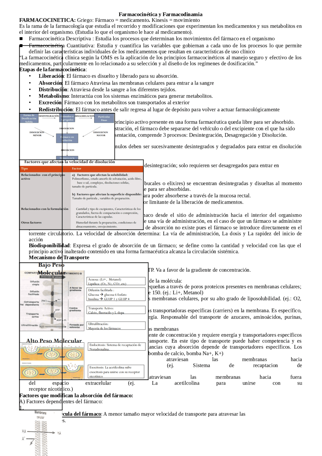 Farmacocinetica Y Farmacodinamia Apuntes De Farmacología Docsity