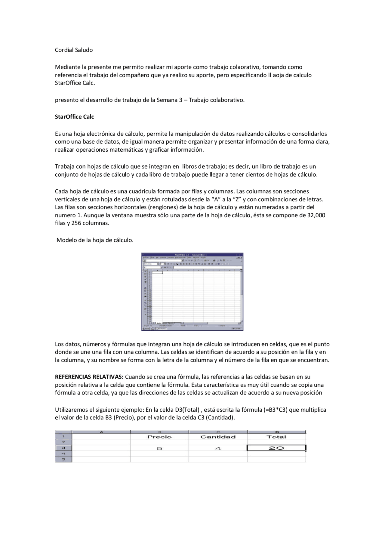 Introducción a StarOffice Calc: Funciones, Referencias y Tipos de ...