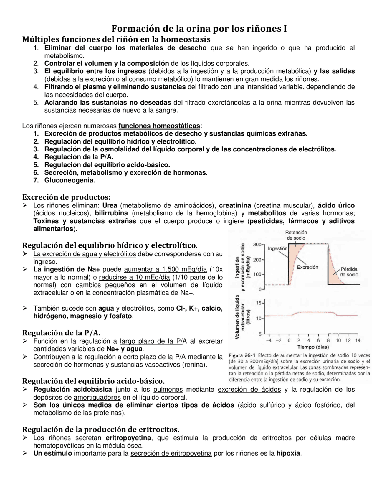 Resumen capitulo 26 Guyton - Docsity