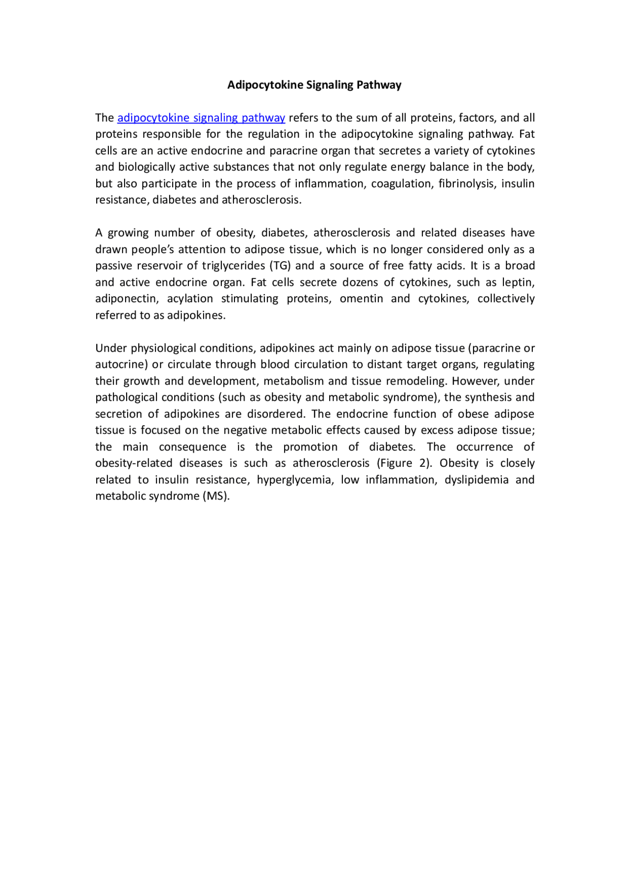 Adipocytokine Signaling Pathway Docsity