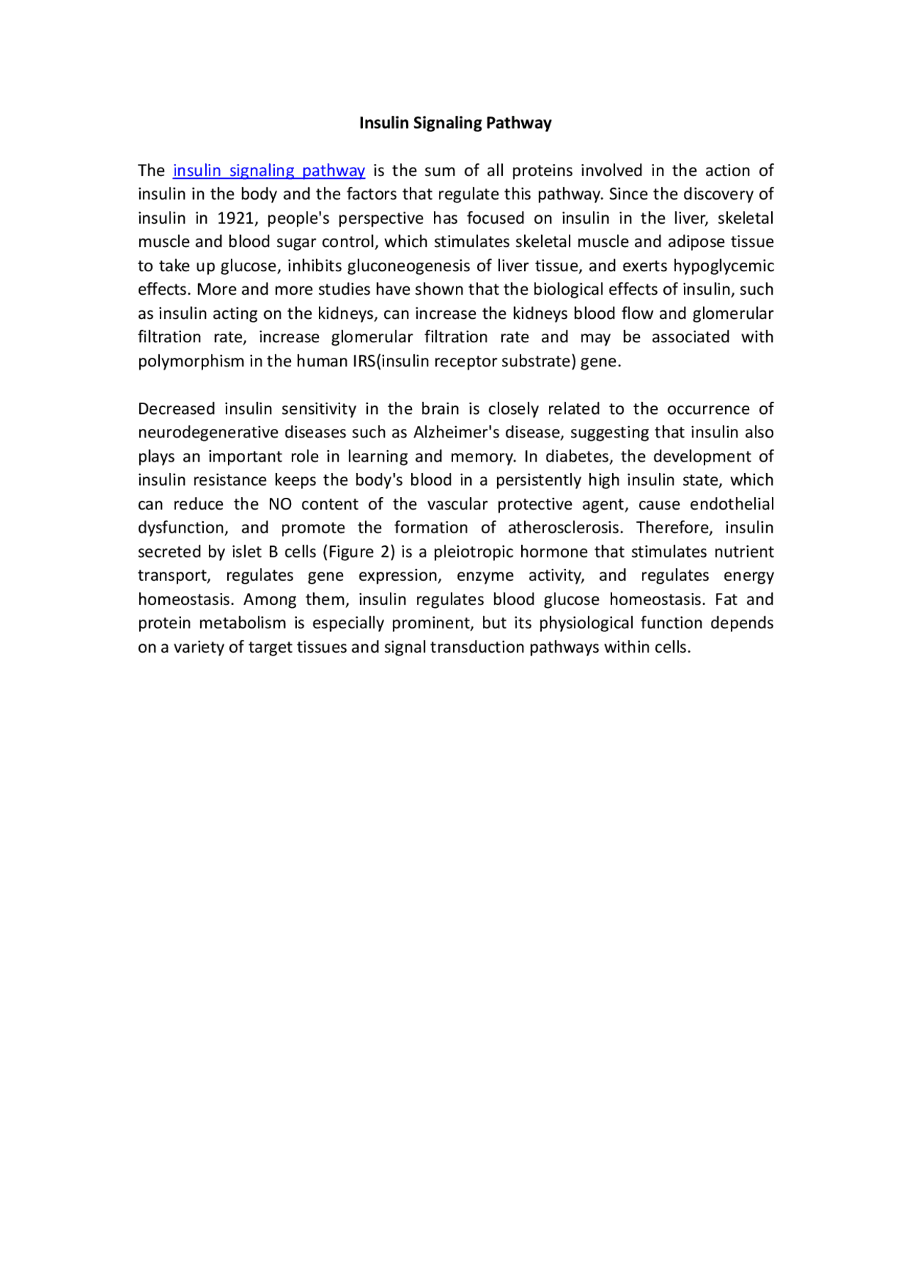 Insulin Signaling Pathway Docsity
