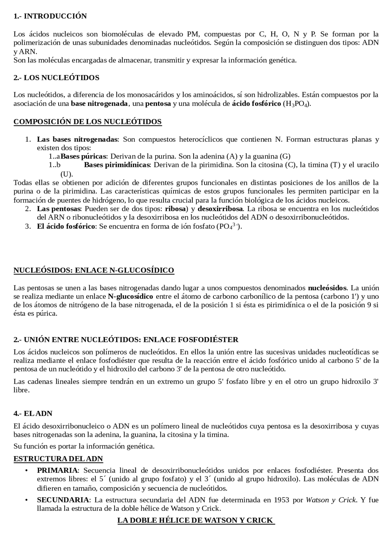 Ácido Nucleicos Apuntes Selectividad Docsity