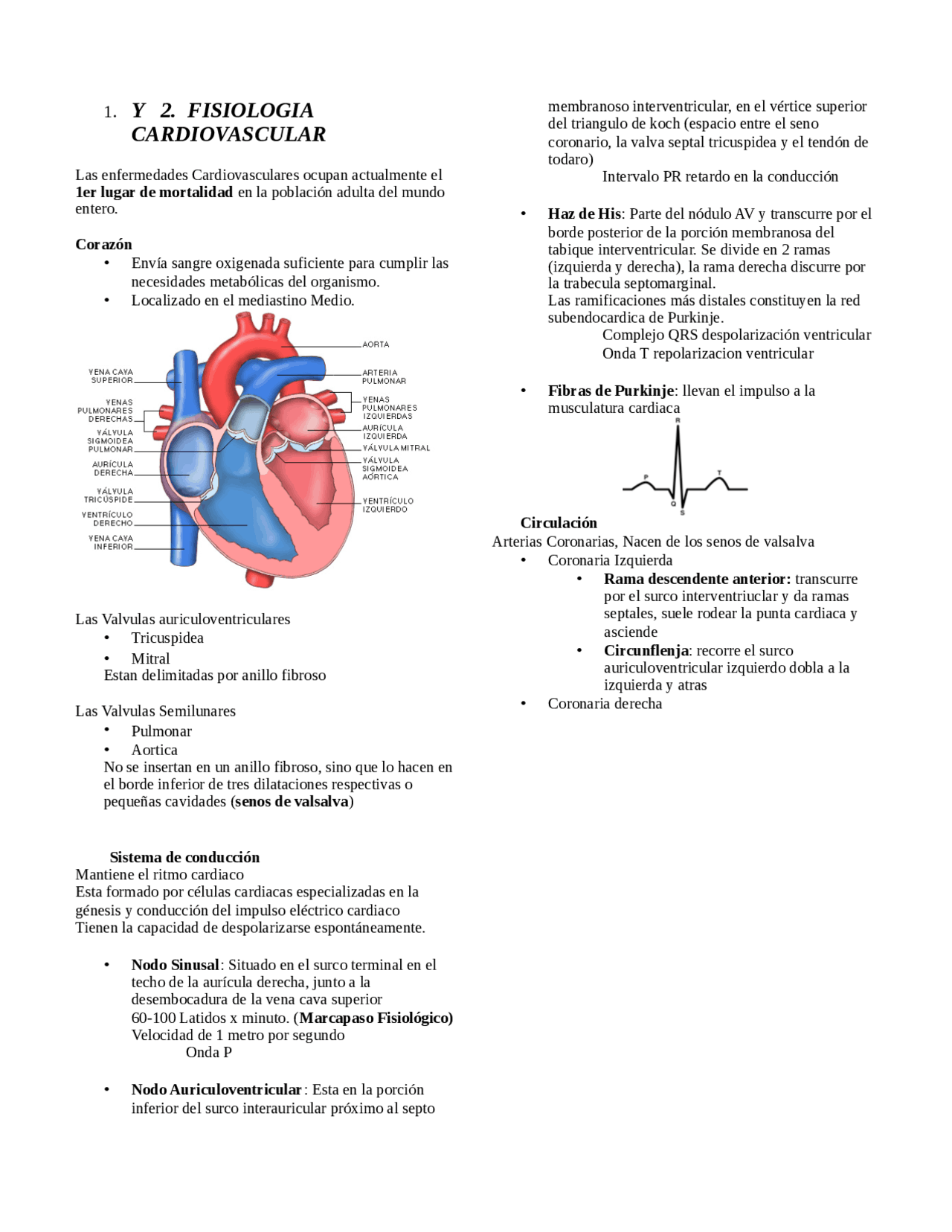 Apuntes De Cardiologia Apuntes De Cardiología Docsity