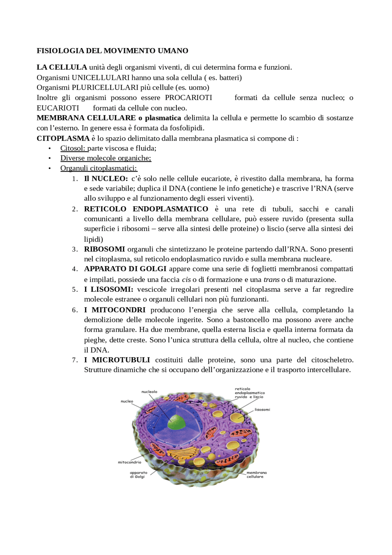 La Struttura Della Cellula Docsity