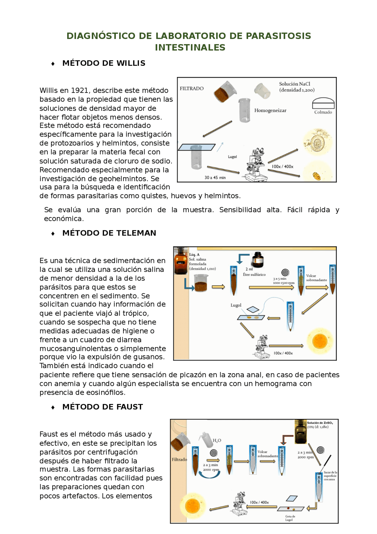 Practica De Parasitologia Apuntes De Parasitología Docsity