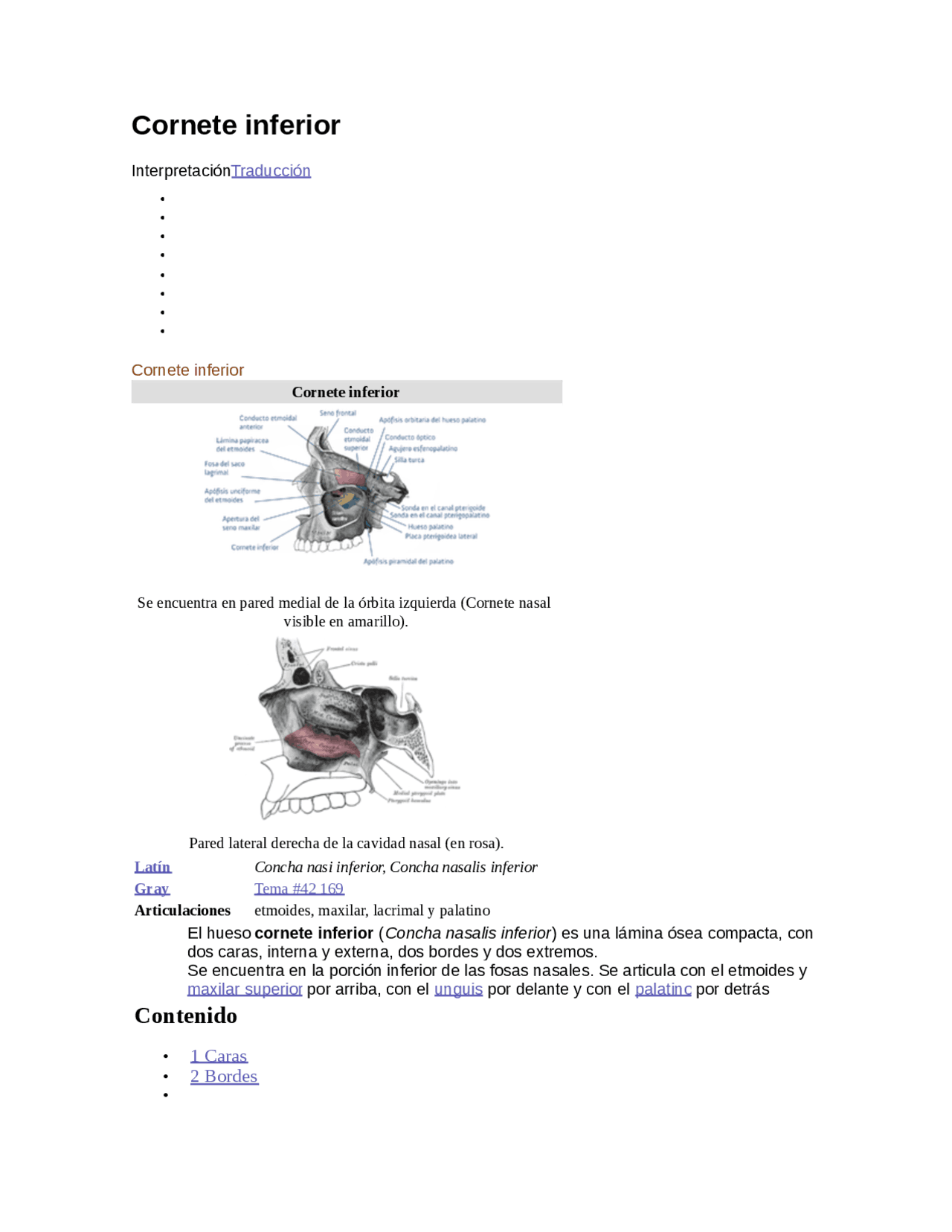 Cornete inferior y su anatomia | Resúmenes de Anatomía | Docsity