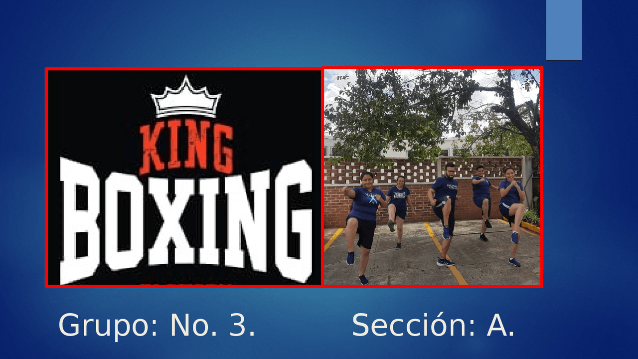 King boxing kinesiología - Docsity