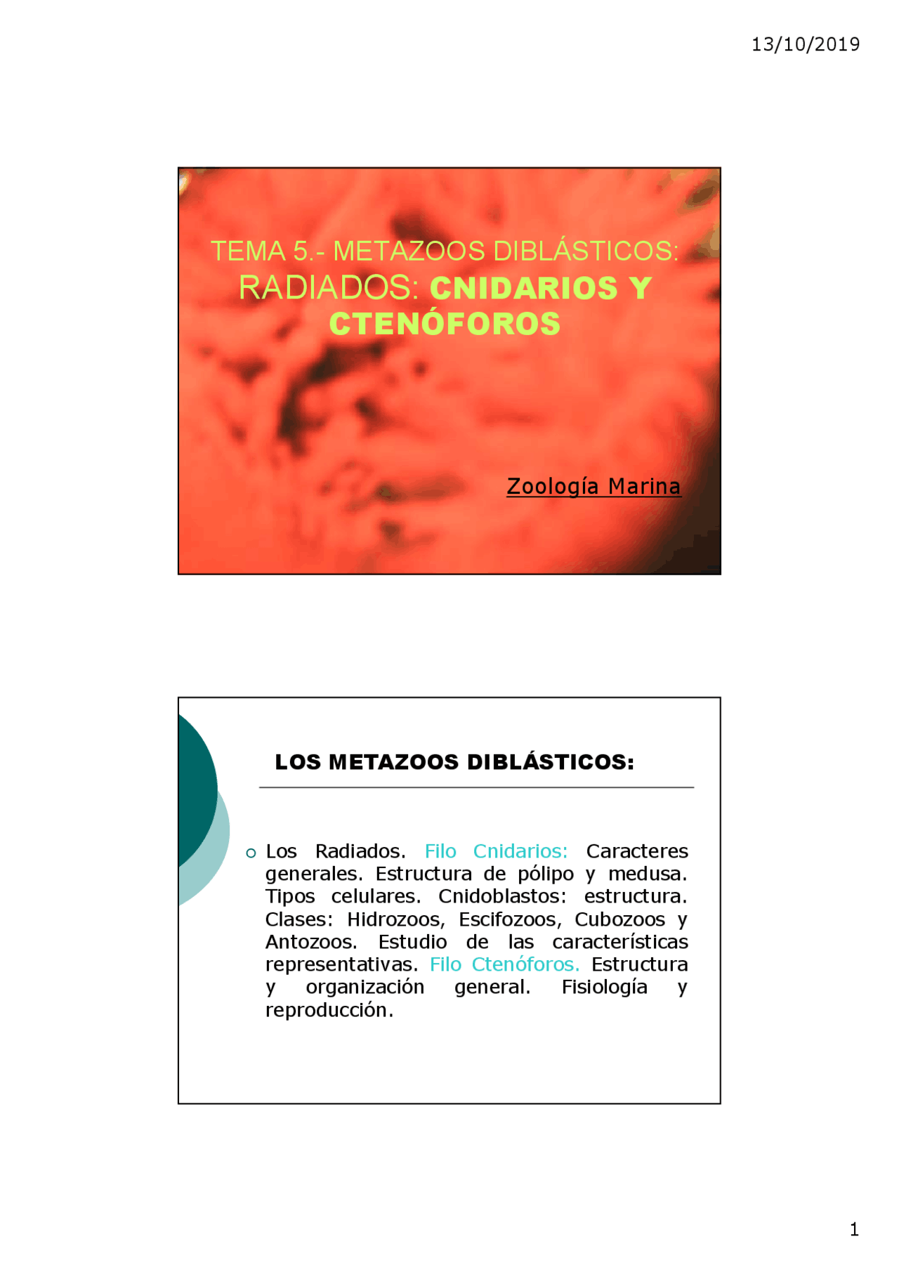 Mesozoos diblasticos - Docsity