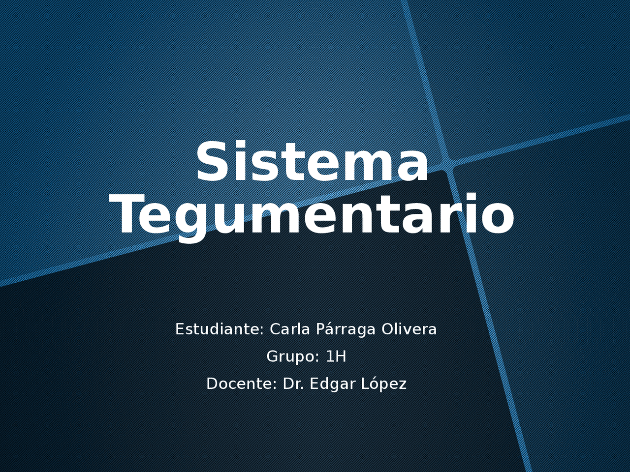 Sistema Tegumentario Diapositivas De Desarrollo Humano Docsity