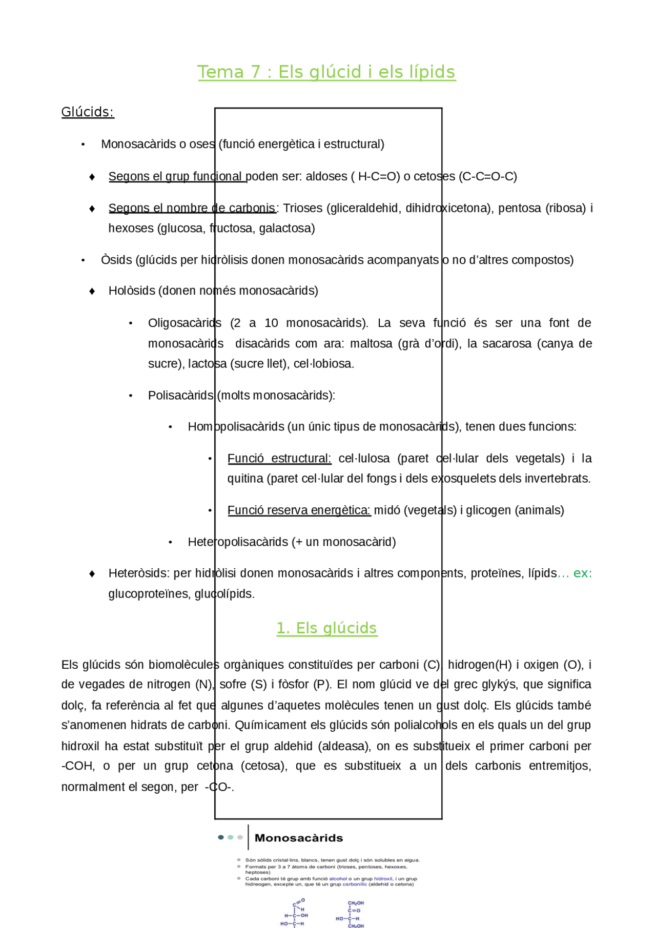 Tema 7 Els Glúcid I Els Lípids Docsity