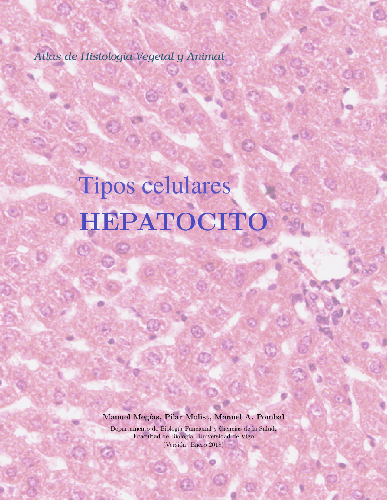 Tipos de célula hepatocitos - Docsity