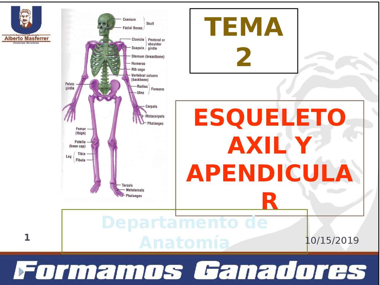 Anatomía General Del Cuerpo Humano Docsity