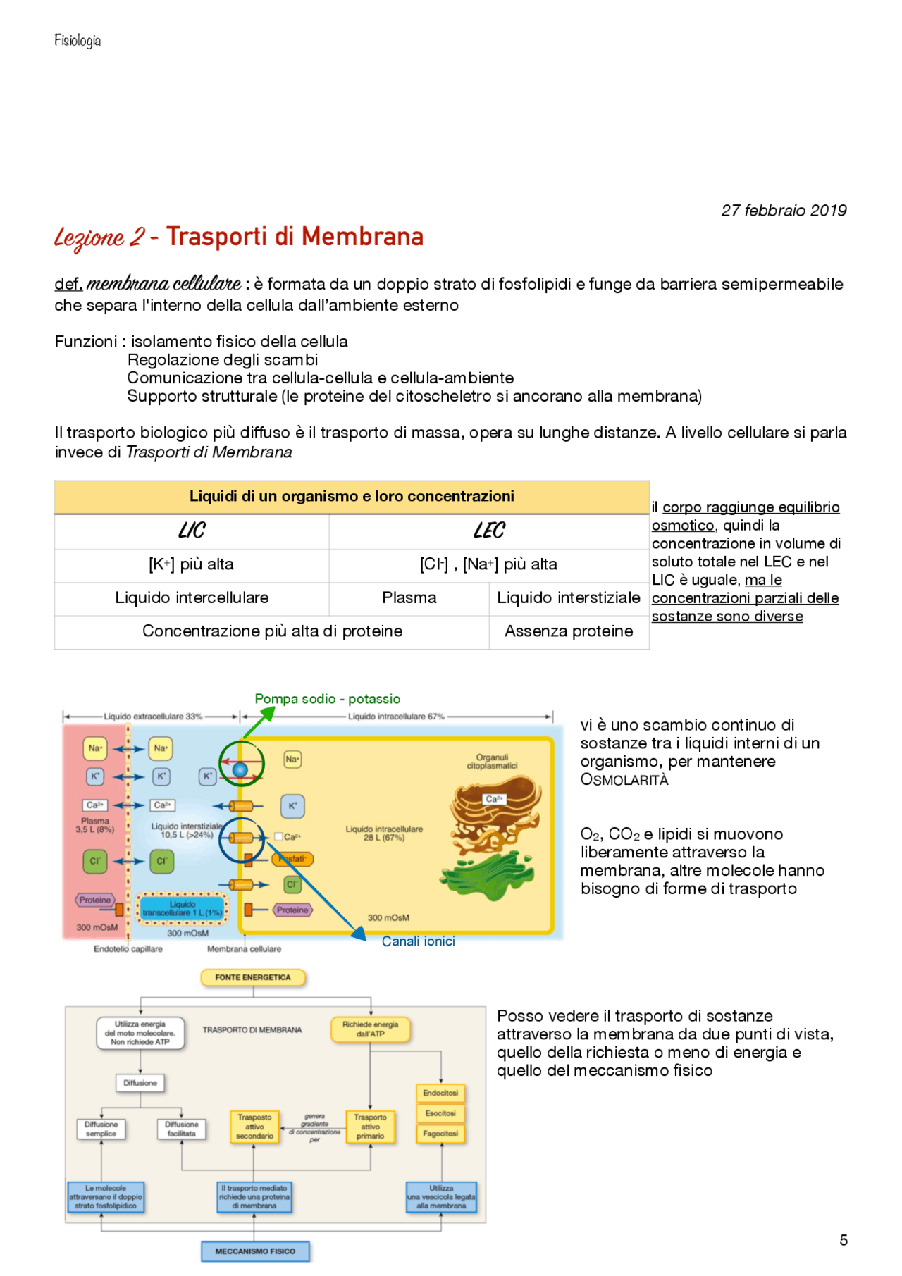 Trasporti Di Membrana Docsity