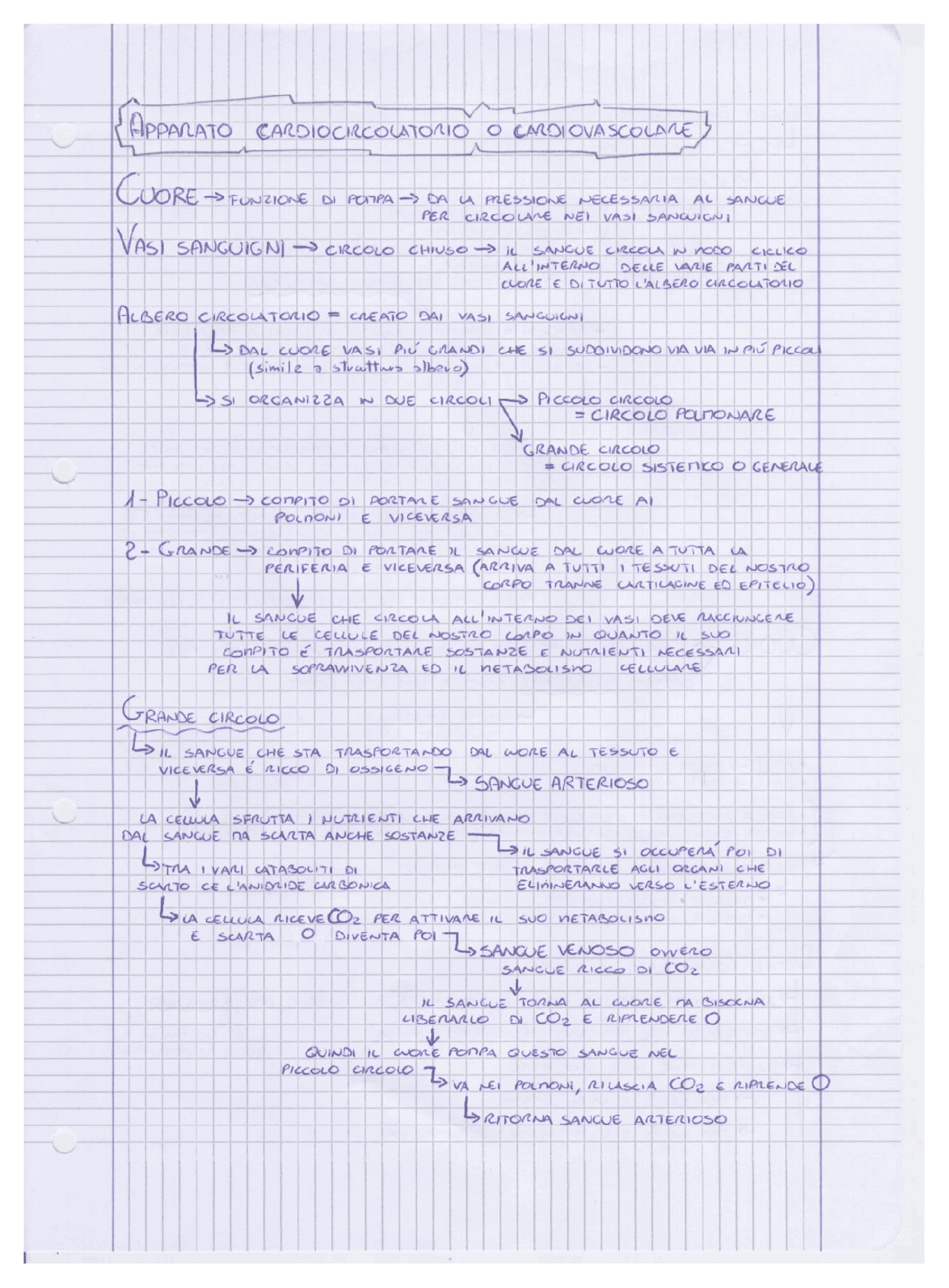 Apparato Cardiocircolatorio Docsity
