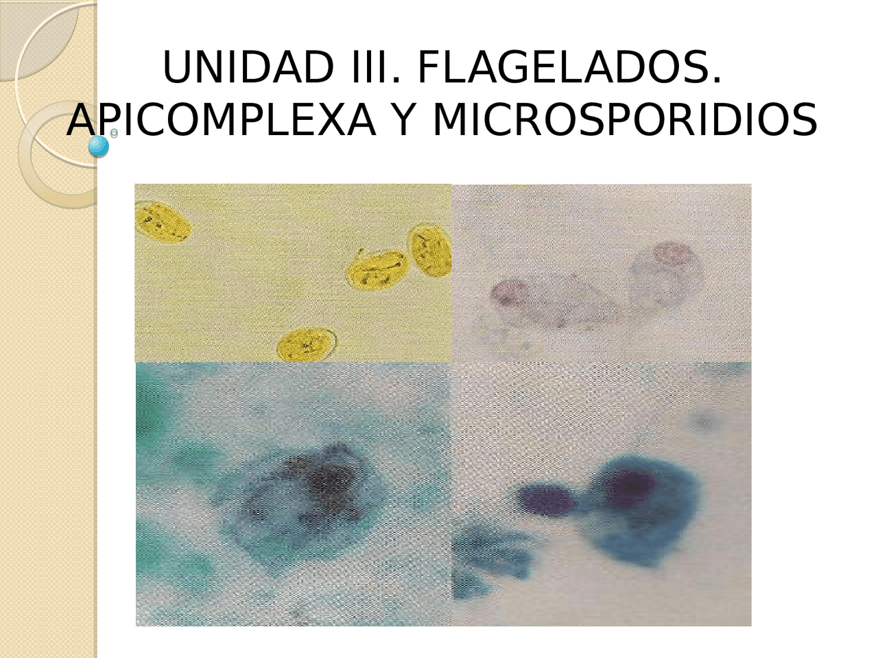 Flagelados comensales del hombre - Docsity