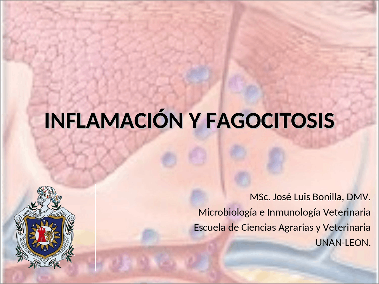 Inflamacion Y Fagocitosis Diapositivas De Inmunología Docsity