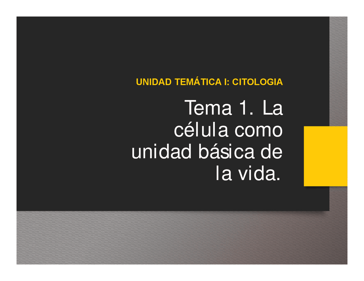 Anatomía Farmacia Usc Docsity