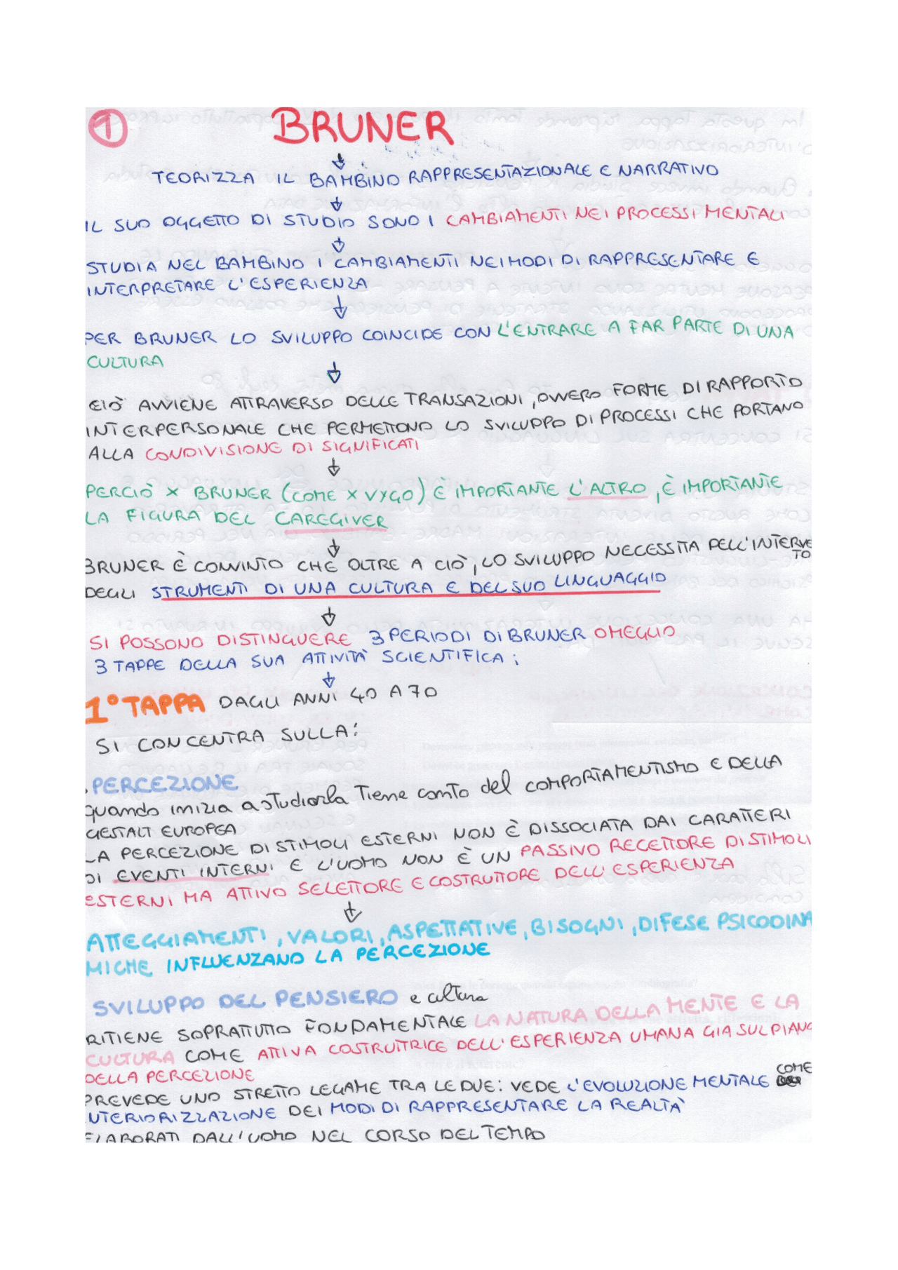 Appunti Sul Lavoro Di Bruner Docsity