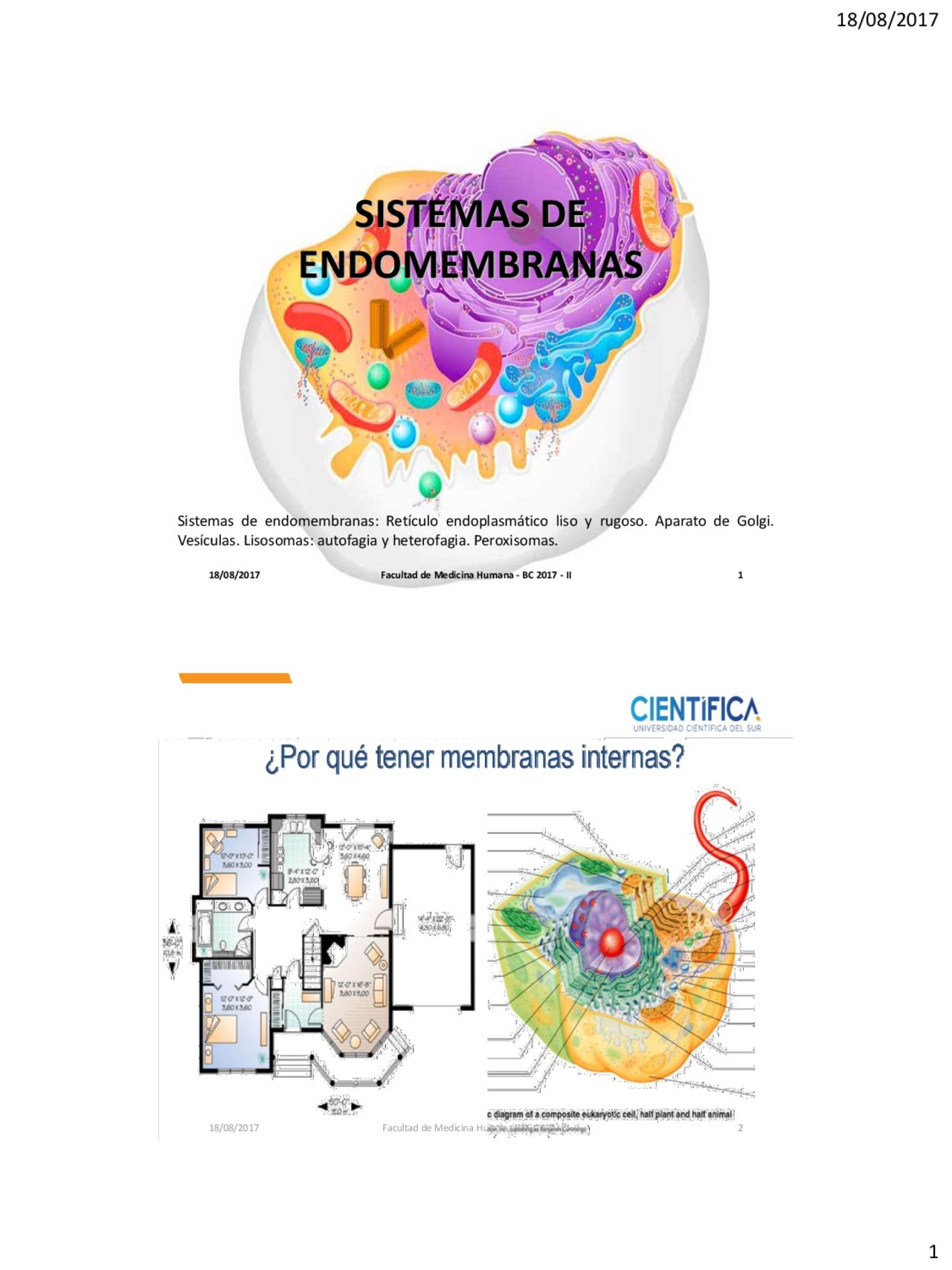 Sistema endomembranas | Diapositivas de Biología - Docsity