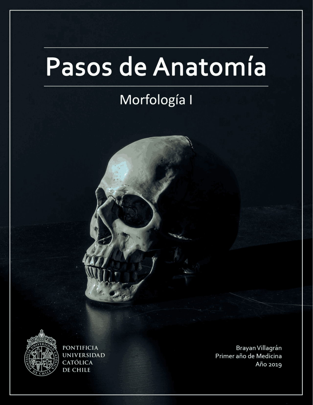 Resumen Moore Miembro Superior Resúmenes De Anatomía Docsity