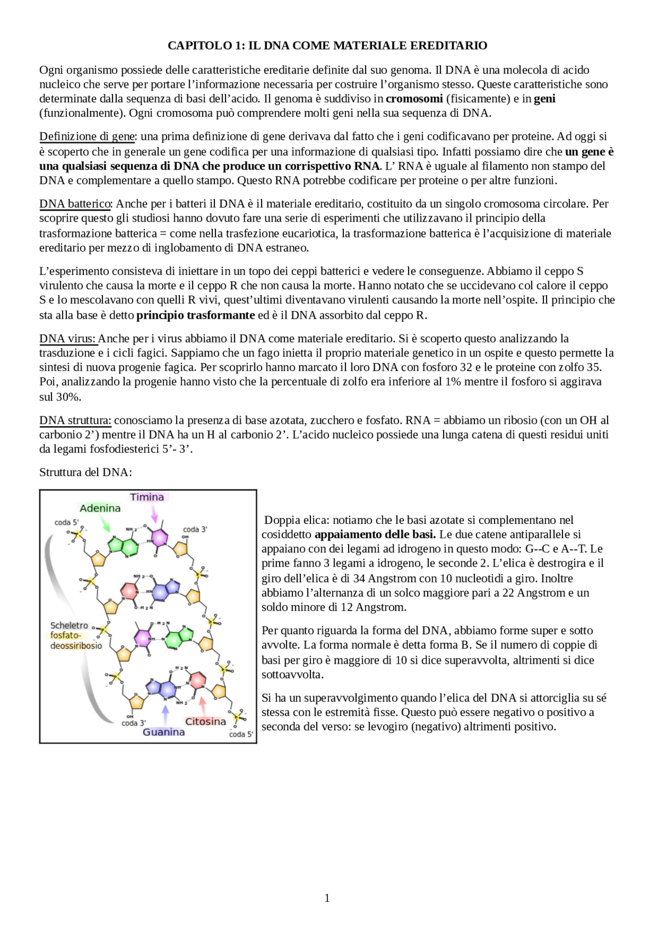 Riassunti Biologia Molecolare Docsity