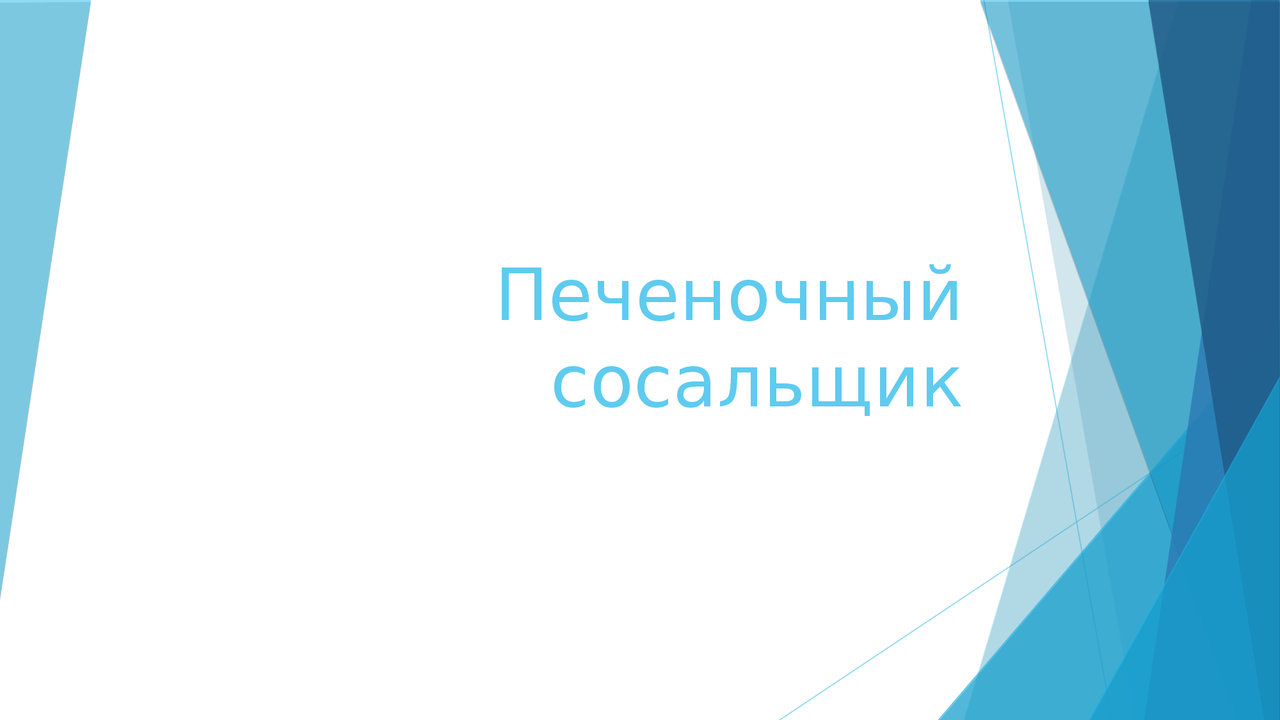 Презентация Docsity