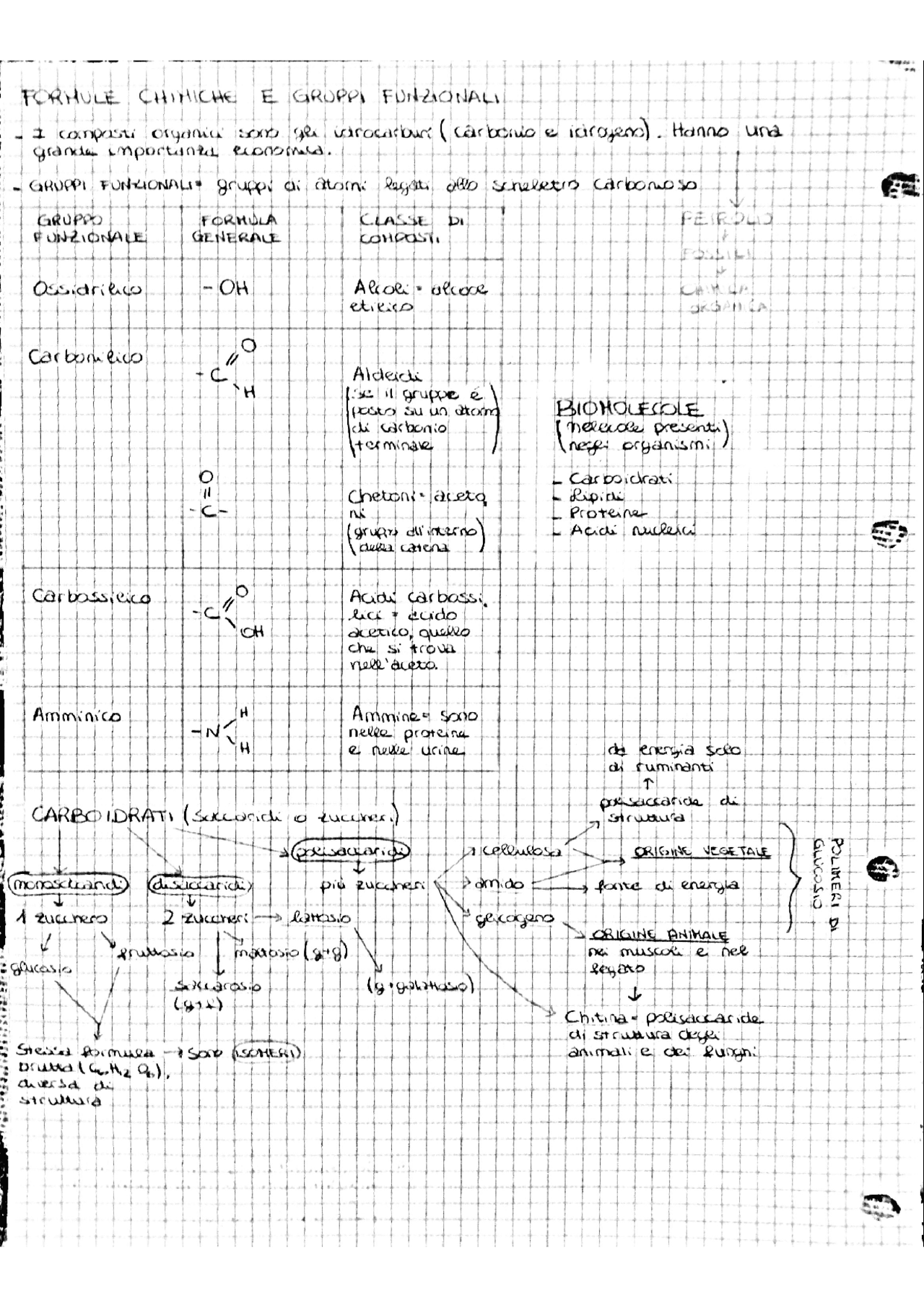Biomolecole E Strutture Docsity