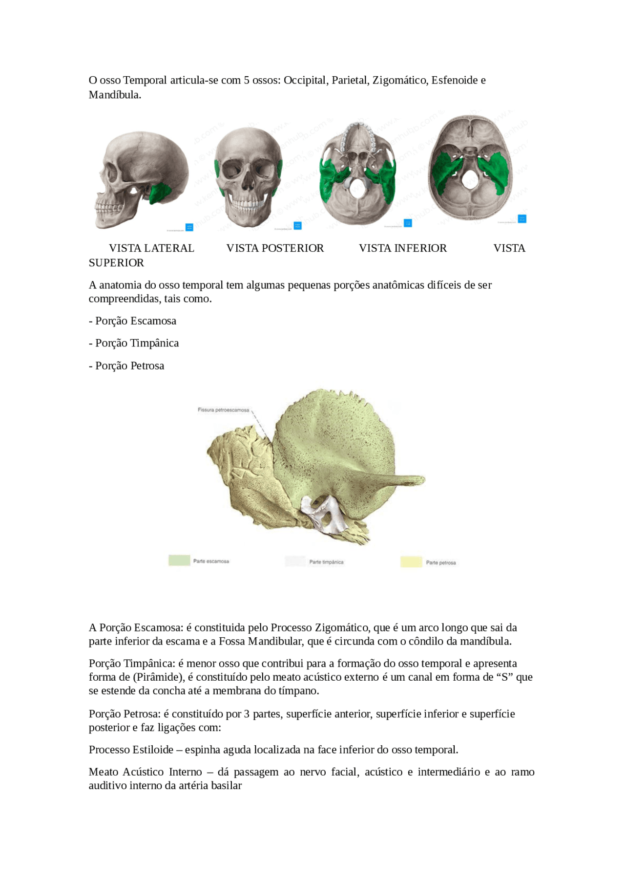 Posicionamento Mastoide - Docsity