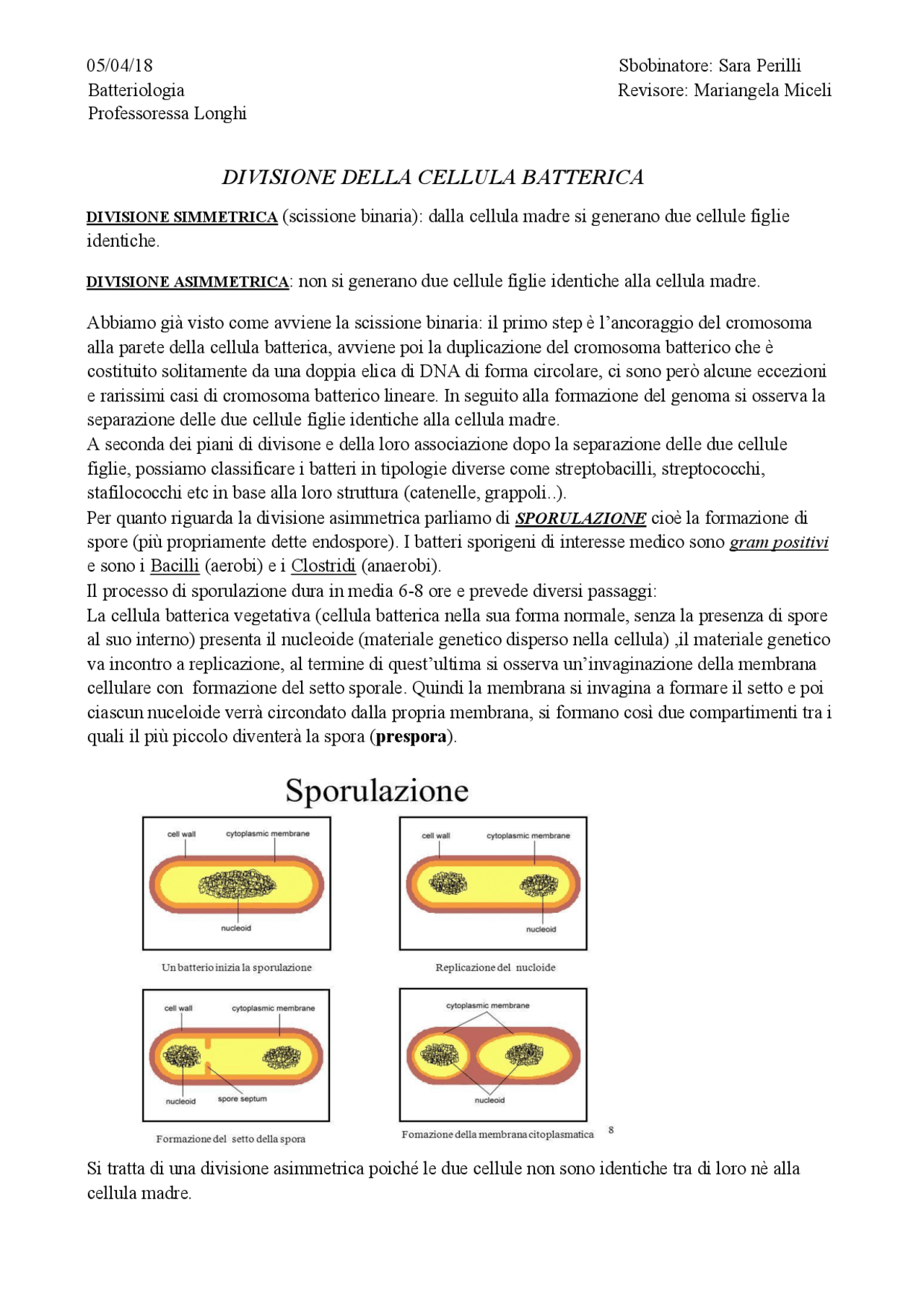 Sbobina Quarta Lezione Di Batteriologia Corso Di Microbiologia