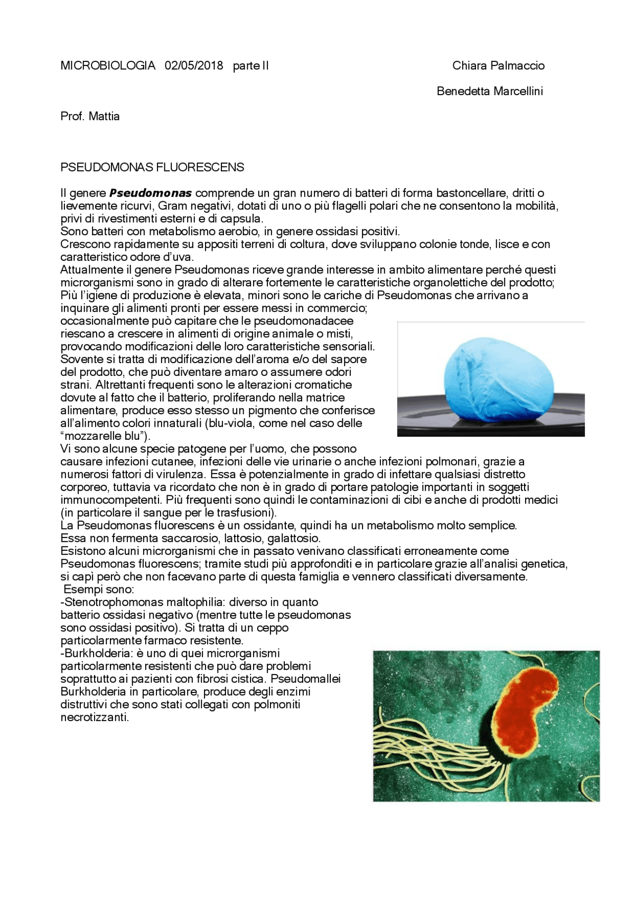 Sbobina Decima Lezione Di Batteriologia Docsity