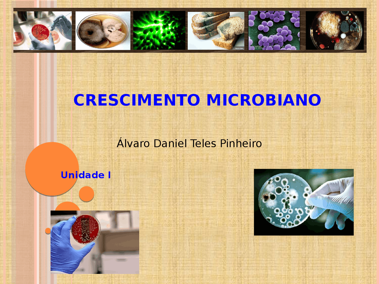 Crescimento Microbiano Docsity
