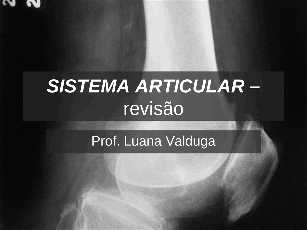 Sistema Articular Anatomia Docsity