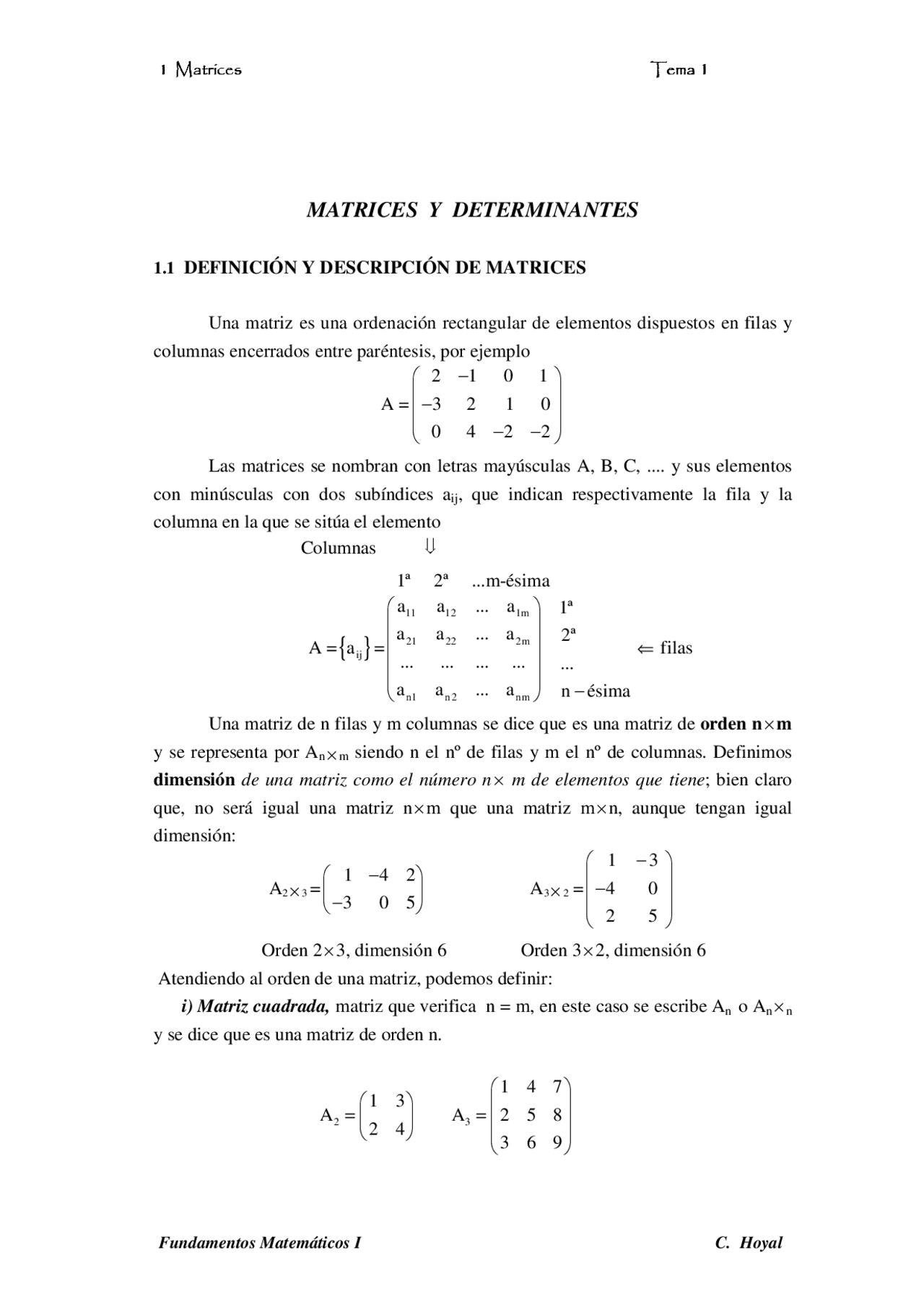 Teoría de matrices: definicion, tipos, operaciones, determinante ...