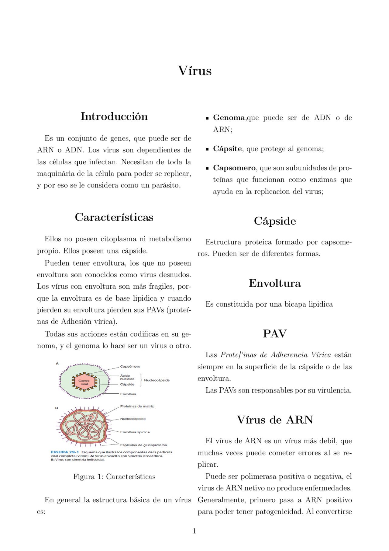 Resumen De Virus Caracteristicas Docsity